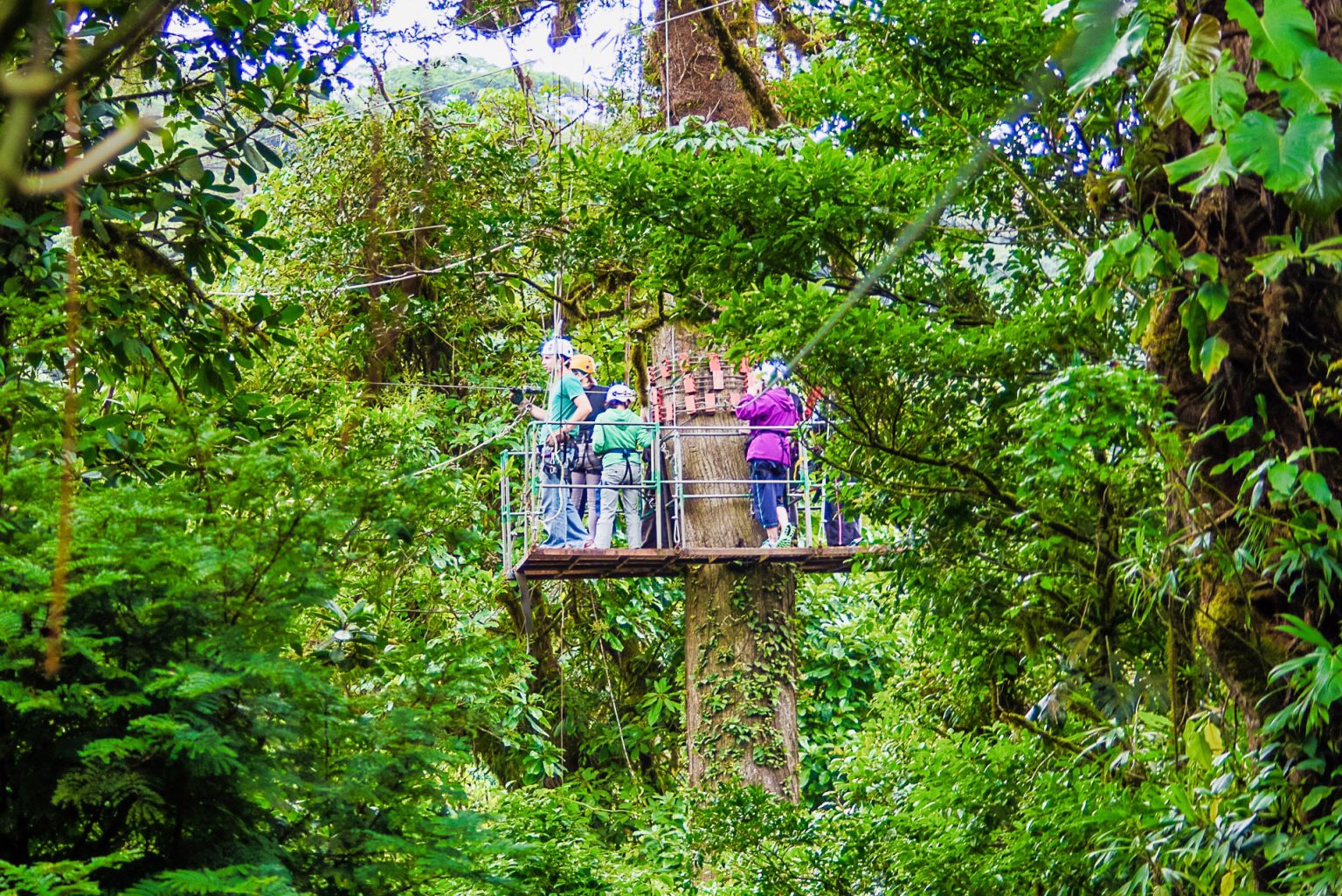 Monteverde: Costa Rica's Cloud Forest Sanctuary - Costa Rican Trails